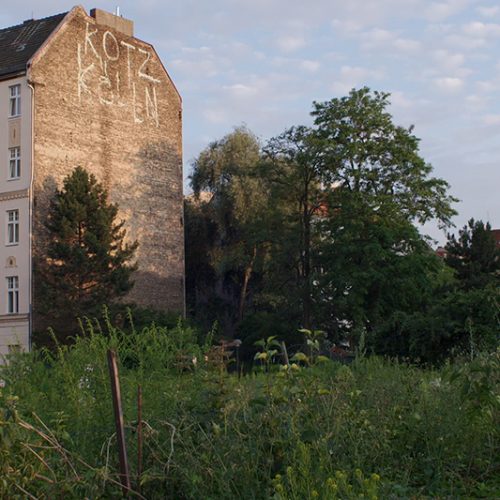 NATURA URBANA – THE BRACHEN OF BERLIN – BUDAPEST ARCHITECTURE FILM FESTIVAL